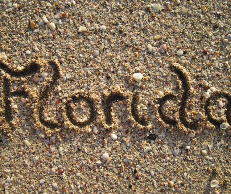 How to Become A Florida Resident - TRAVIKOR